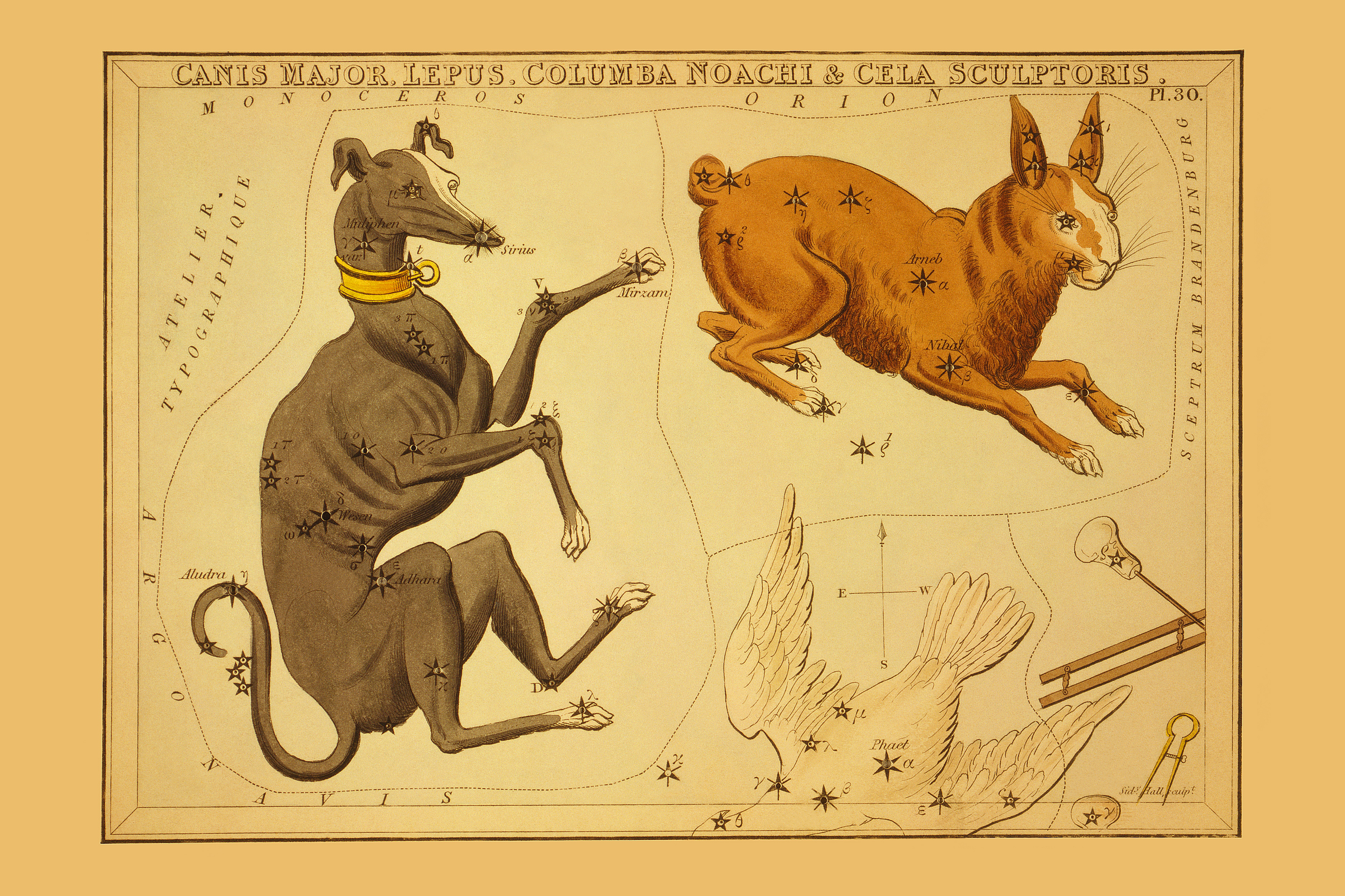 Ancient History HISTORY ancient-history-history
