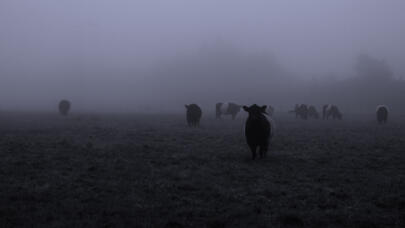 Watch The Secret of Skinwalker Ranch Full Episodes, Video & More ...