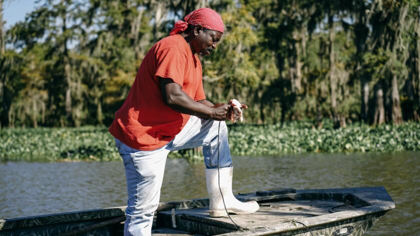 Troy Landry - Swamp People Cast | HISTORY Channel