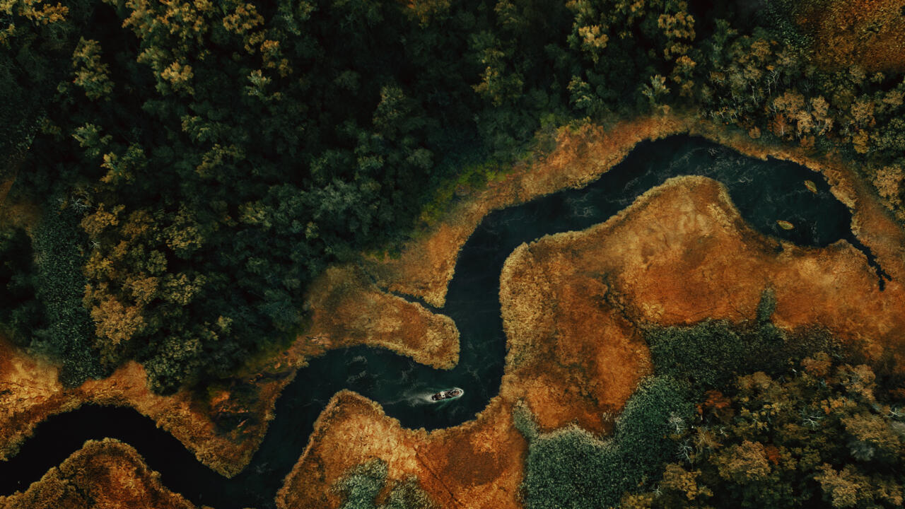 Watch Swamp People: Serpent Invasion Full Episodes, Video & More ...