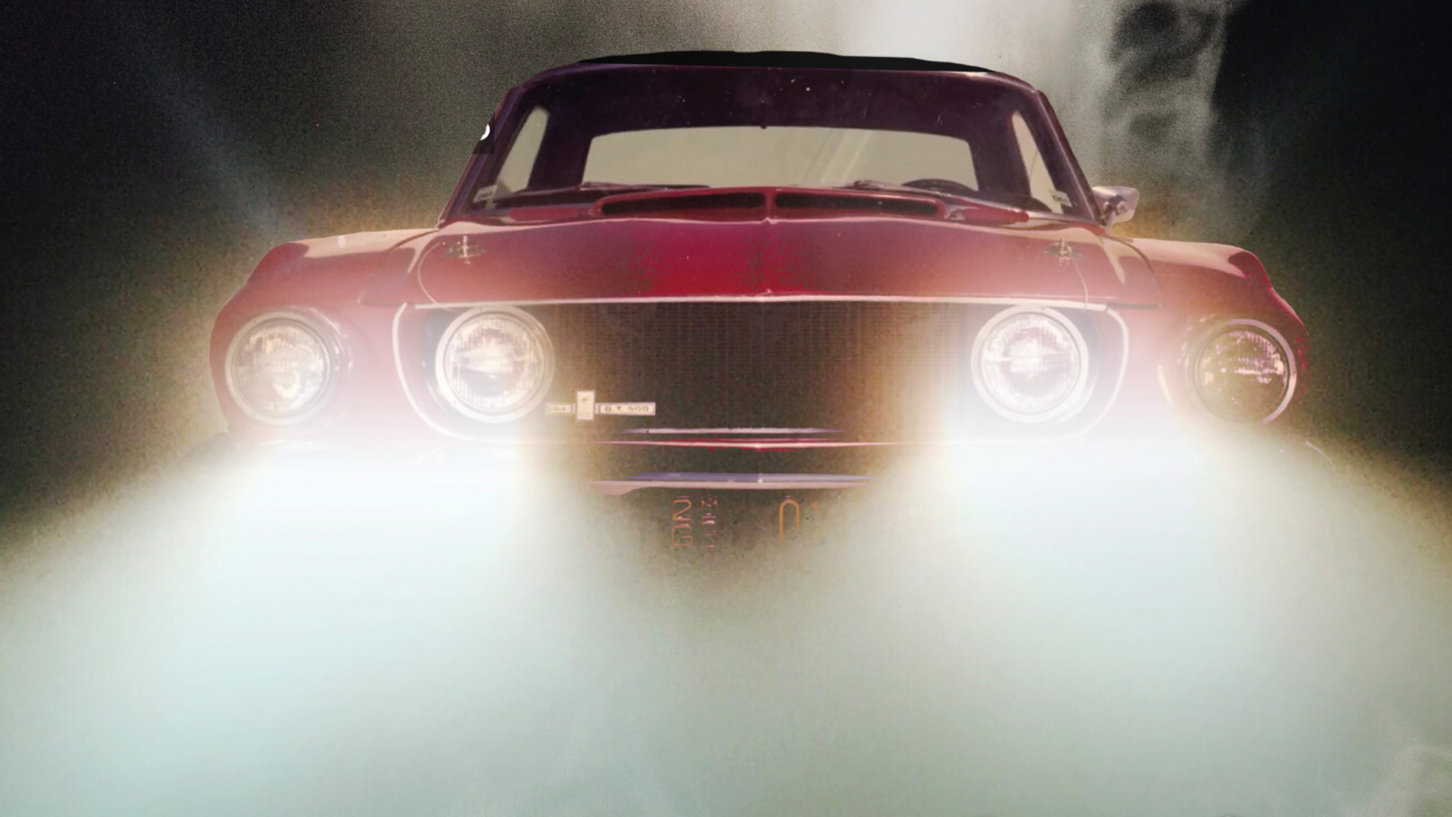 Watch The Search for Little Red | FYI