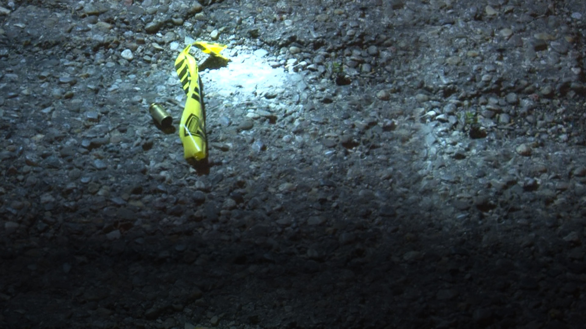 Watch The First 48 Season 7 Online | A&E