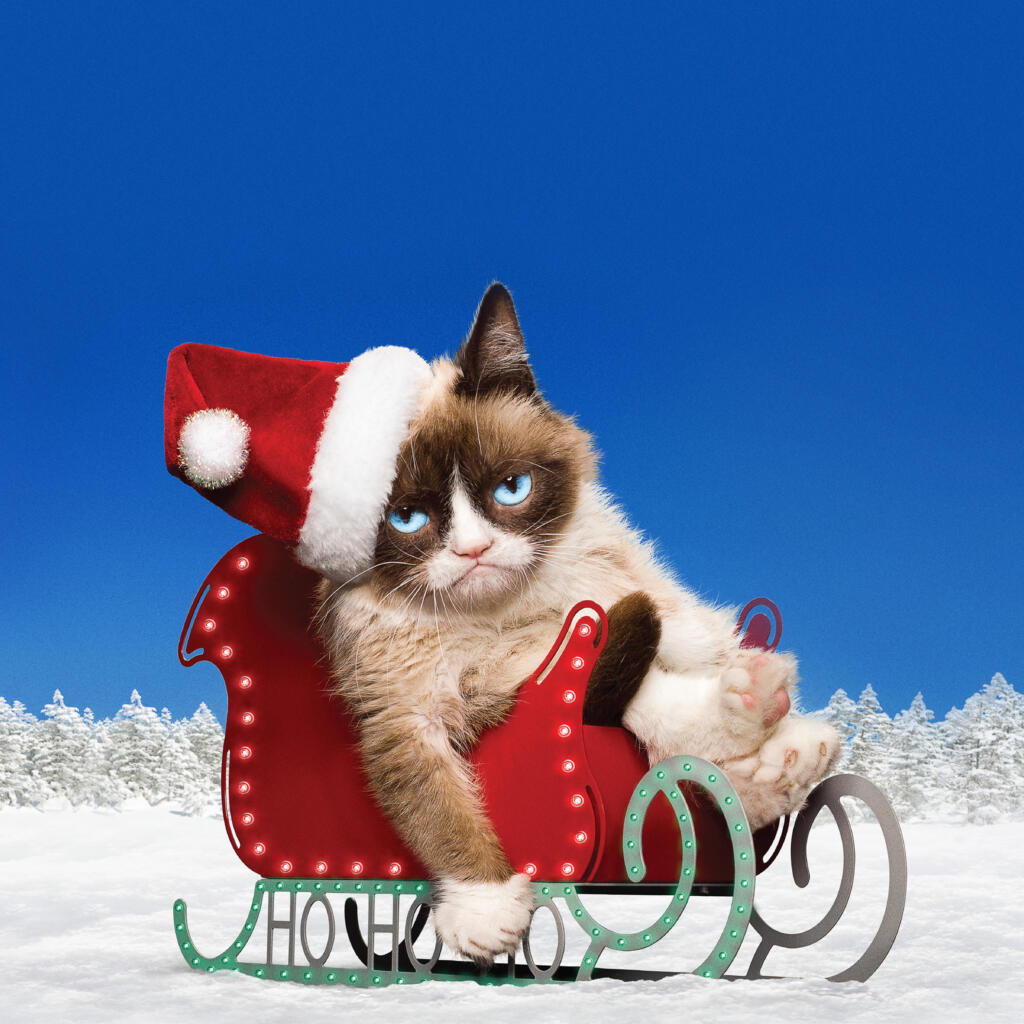 Good Grumpy Cat