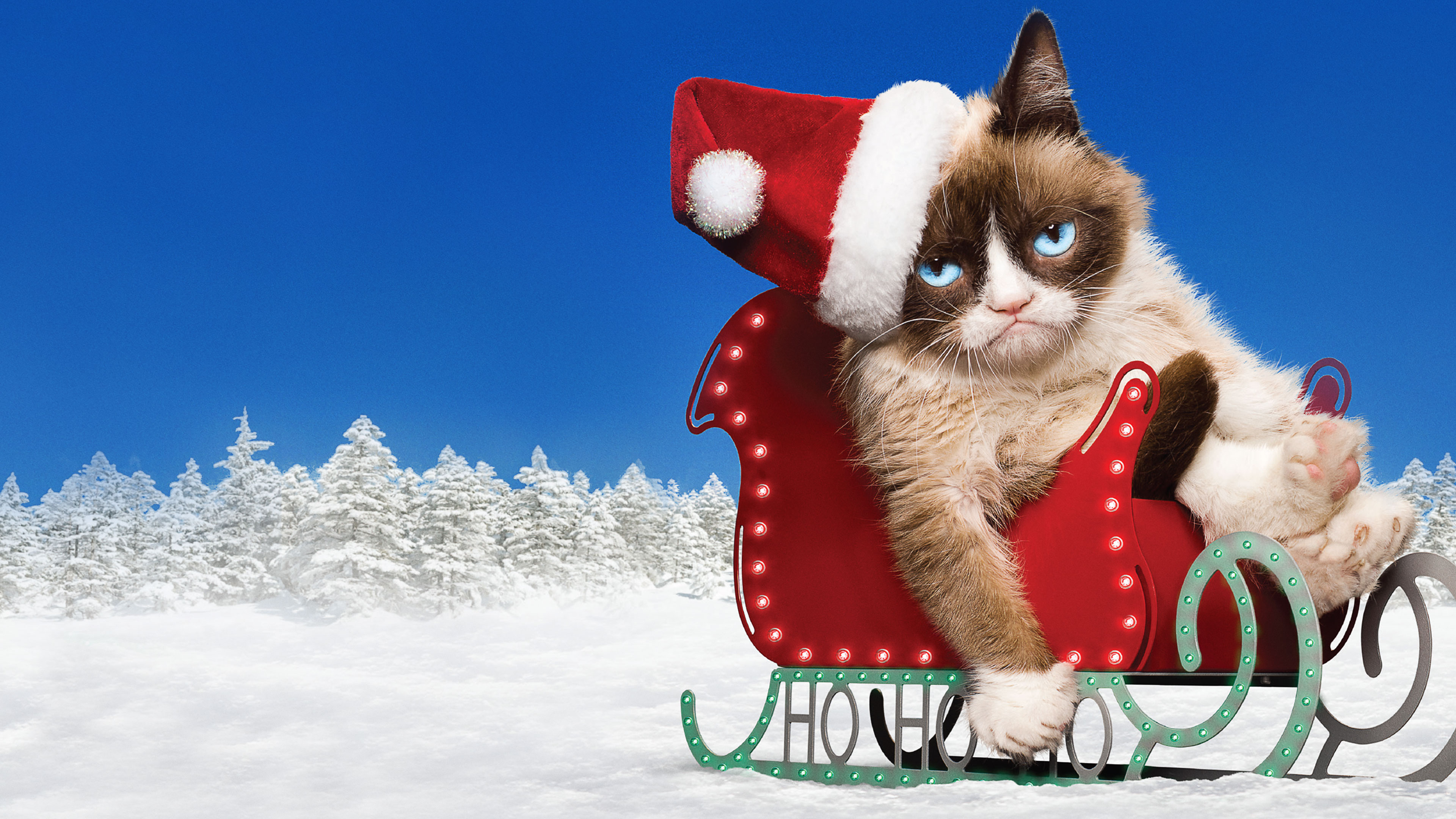 Watch Grumpy Cat's Worst Christmas Ever | Lifetime