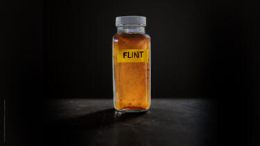Watch Flint | Lifetime