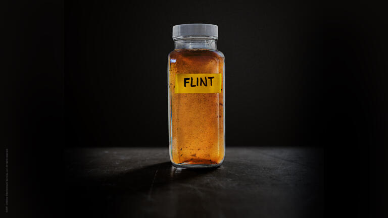 Watch Flint | Lifetime