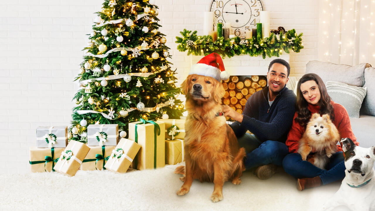 Watch The Dog Days of Christmas | Lifetime