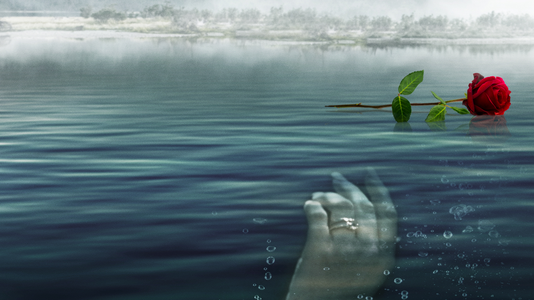 Watch A Rose For Her Grave: The Randy Roth Story | Lifetime