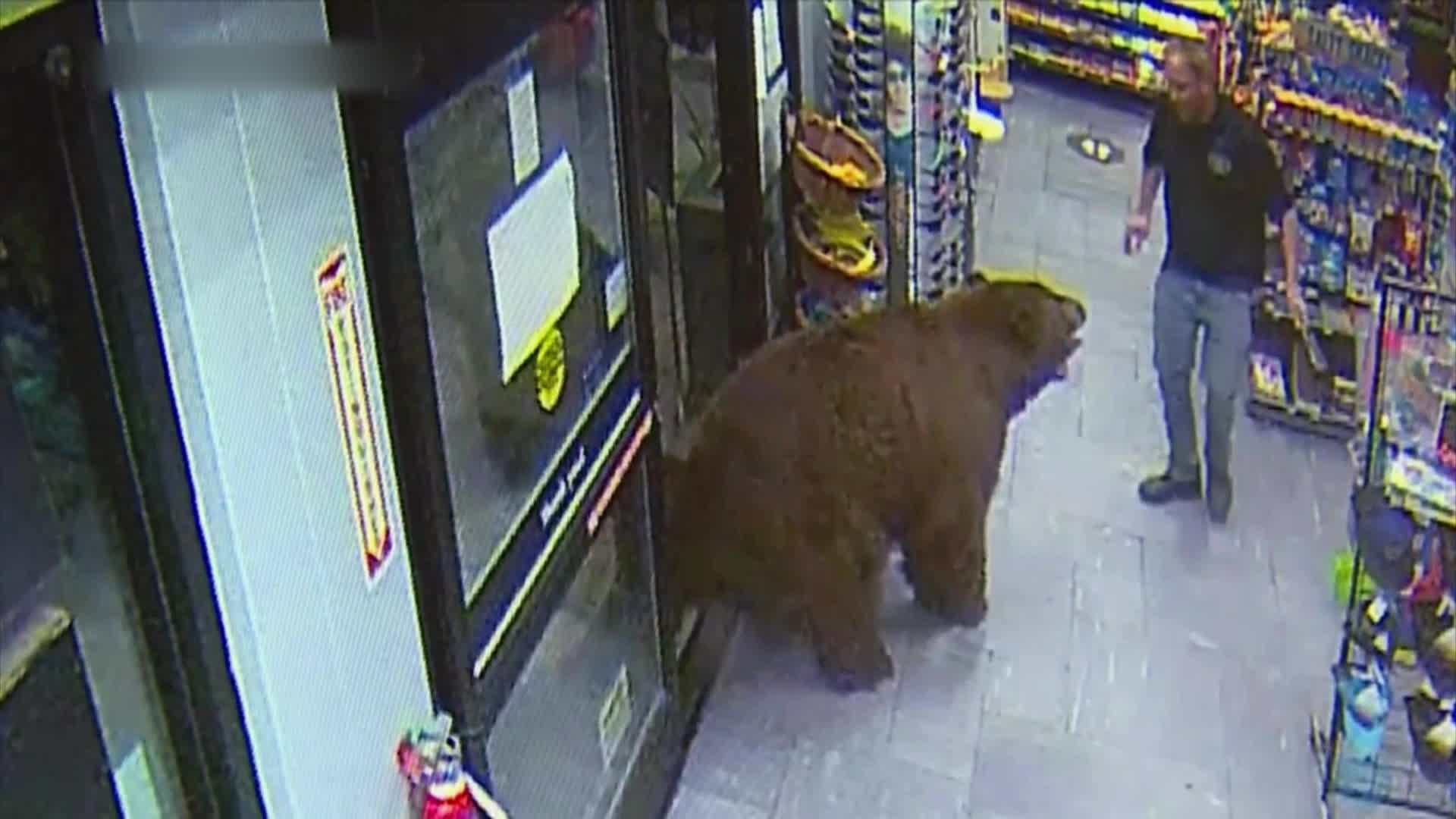 Watch Customer Wars Season 2 Episode 98 | A&E