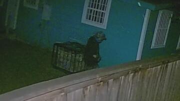 Watch Killer Cases Season 4 Online | A&E