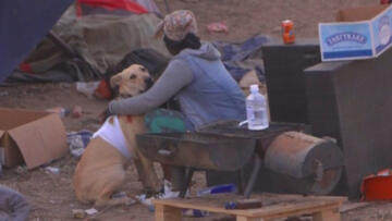 Watch Live Rescue Season 2 Online | A&E