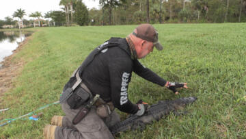 Watch Live Rescue Season 3 Online | A&E