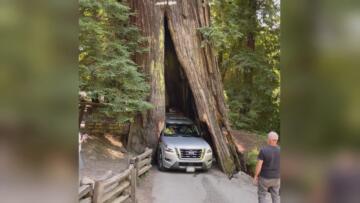 Watch Road Wars Season 4 Online | A&E