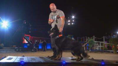 America's Top Dog Full Episodes, Video & More | A&E