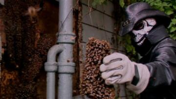 Watch Billy the Exterminator Season 2 Online | A&E