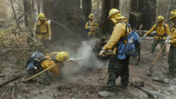 Watch Live Rescue Season 3 Online | A&E