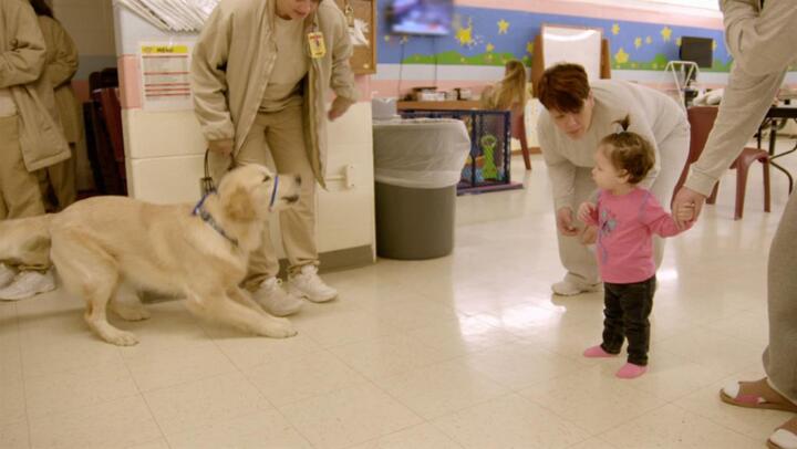 Born Behind Bars Full Episodes, Video & More | A&E