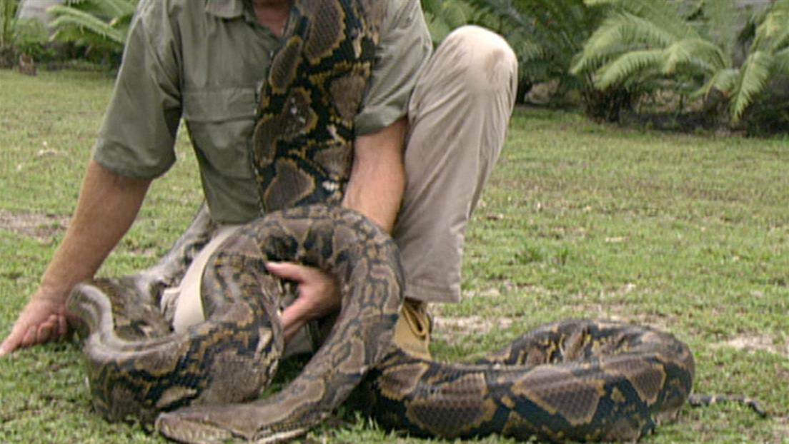 Giant Killer Snakes | HISTORY Vault