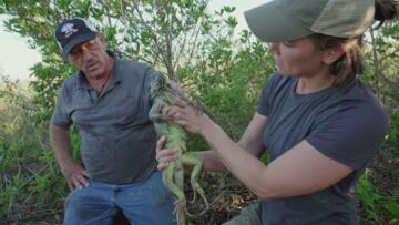 Watch Swamp People: Serpent Invasion Season 4 Online | HISTORY Channel