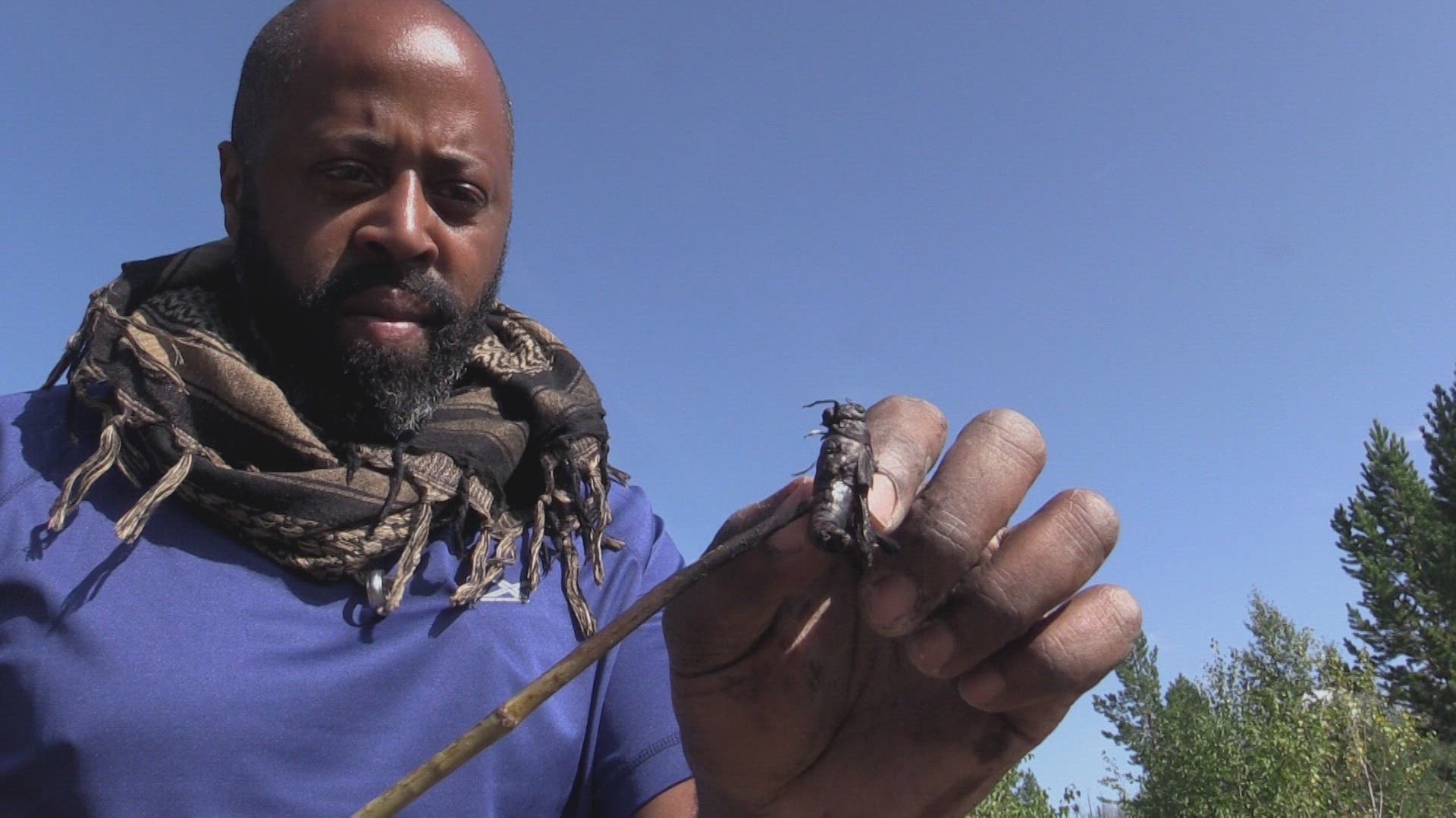 Watch HISTORY Full Episodes & Videos Online | HISTORY Channel