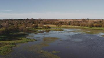 Watch Hard Truths of Conservation Season 3 Online | HISTORY Channel