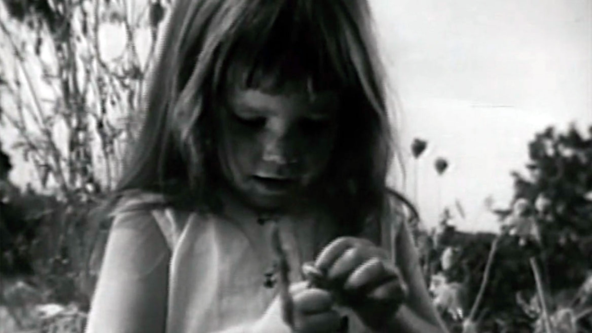 Watch Campaign Spot: Peace Little Girl (1964) Clip | HISTORY Channel