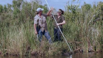Watch Swamp People Season 3 Online | HISTORY Channel