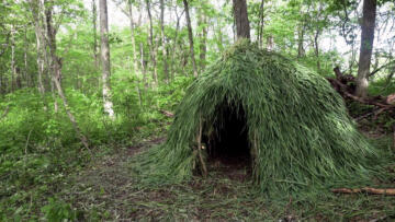 Watch Alone: The Skills Challenge Season 1 Online | HISTORY Channel