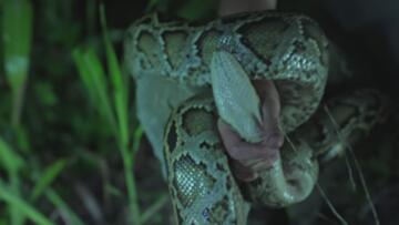 Watch Swamp People: Serpent Invasion Season 4 Online | HISTORY Channel