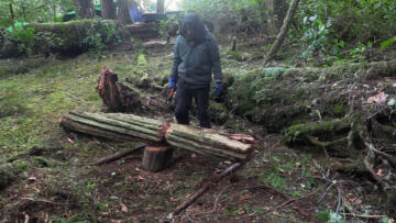 Watch Alone Season 4 Online | HISTORY Channel