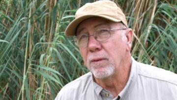 Watch Swamp People Season 9 Online | HISTORY Channel