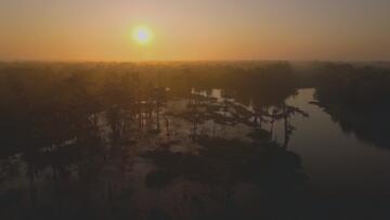 Watch Swamp People Season 10 Online | HISTORY Channel