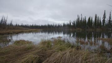 Watch Alone Season 11 Online | HISTORY Channel