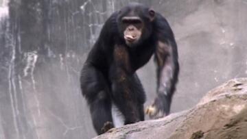 Watch Modern Marvels Season 11 Online | HISTORY Channel