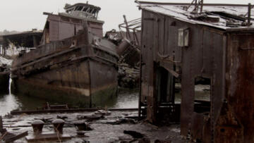 Watch Life After People Season 2 Online | HISTORY Channel