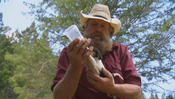 Watch Mountain Men Season 5 Online | HISTORY Channel