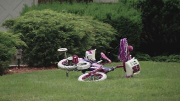 Watch Life After People Season 3 Online | HISTORY Channel