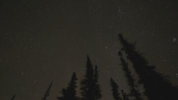 Watch Alone Season 11 Online | HISTORY Channel