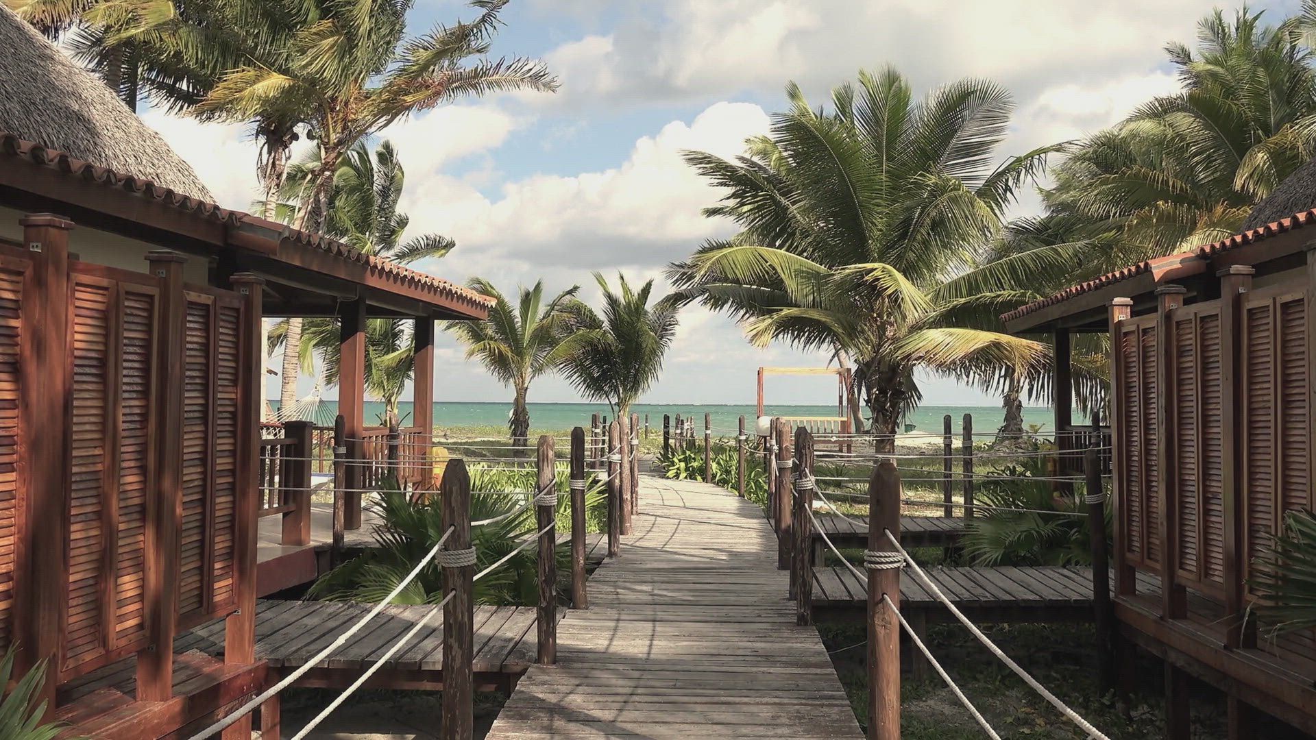 Watch Lifetime Original Movies & See Movie Schedule | Lifetime